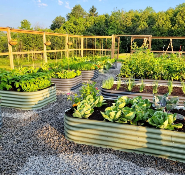 Sproutbox Raised Garden Bed – Mygardenbag.com